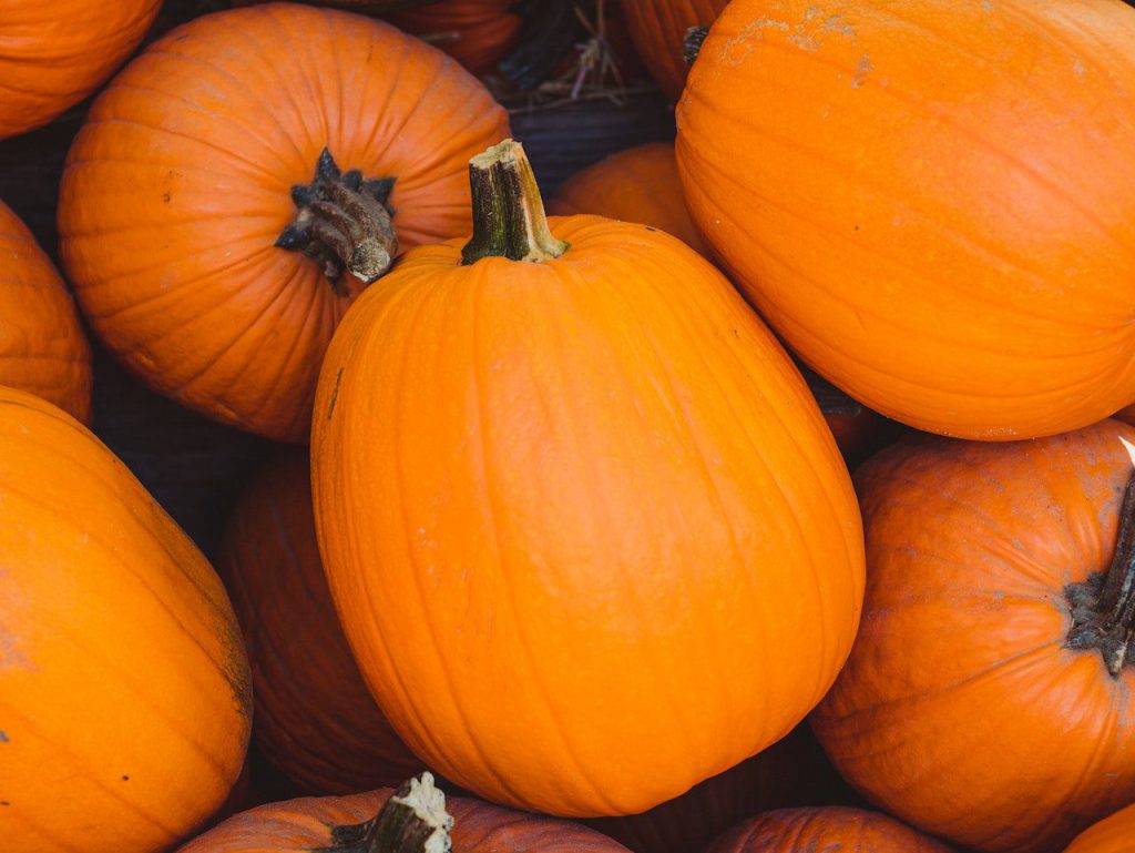 Pumpkin Ricotta Stuffed Shells - Eat Smart, Move More, Weigh Less