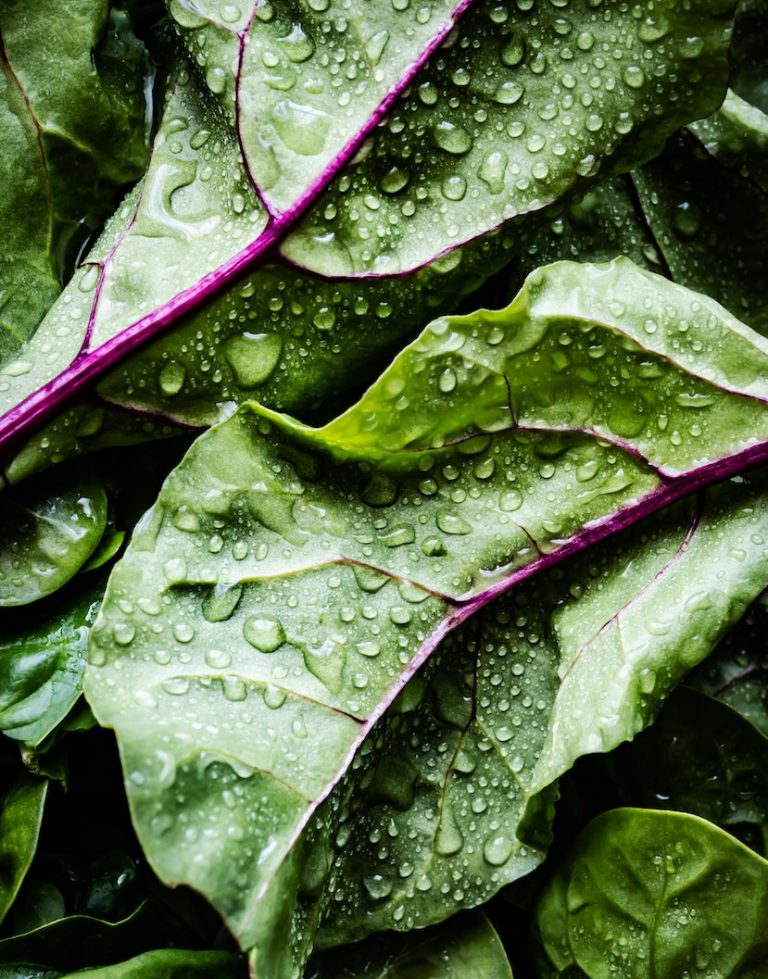 How to Revive Wilted Produce Greens - Eat Smart, Move More, Weigh Less